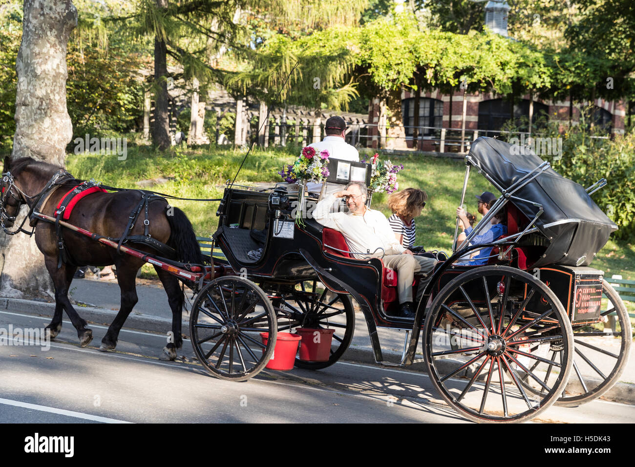 Horse and carriage tourist attraction attractions hi-res stock ...