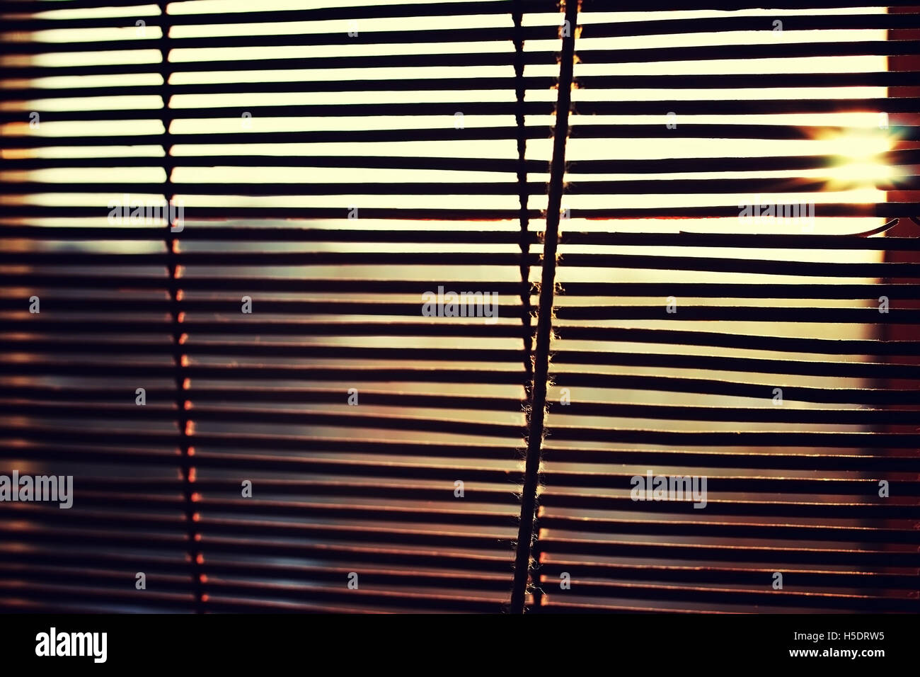 sun is shining through the wood blinds Stock Photo - Alamy
