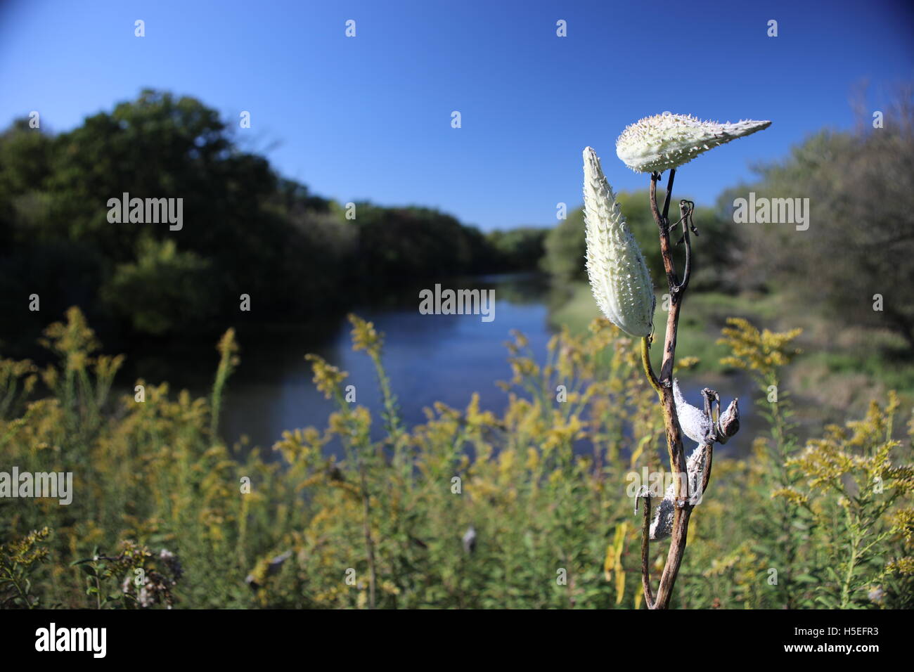 Dupage hi-res stock photography and images - Alamy