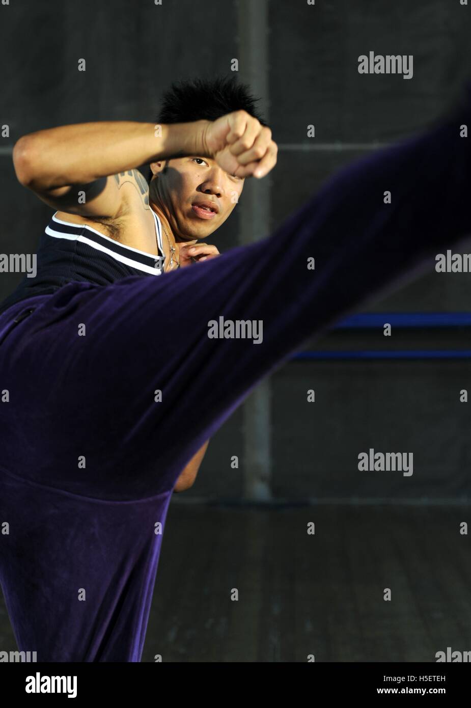 Kung fu stick fighter Stock Photo - Alamy