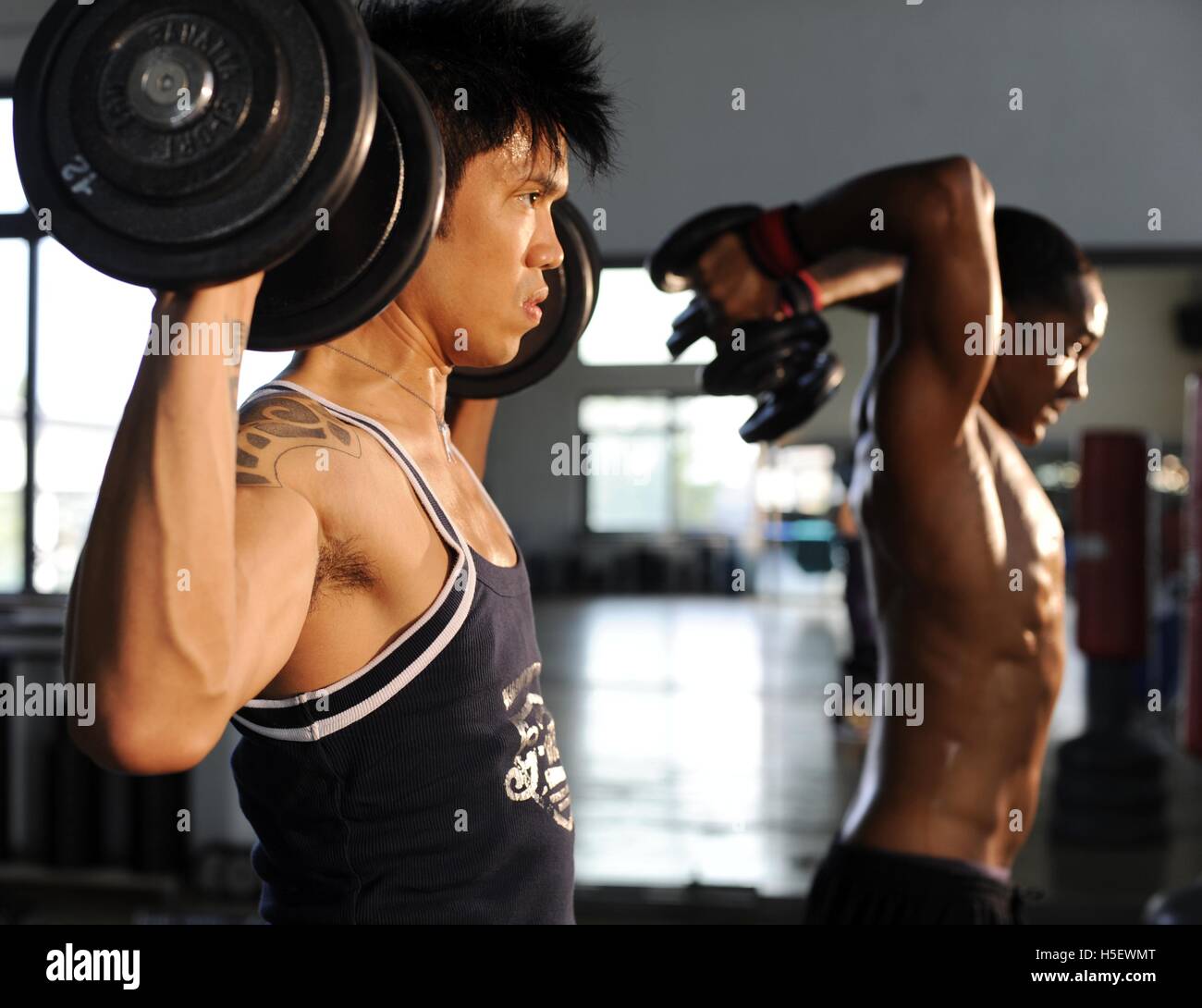 Asiatic man in the gym performing an exercise arm dumbbell curl Stock ...