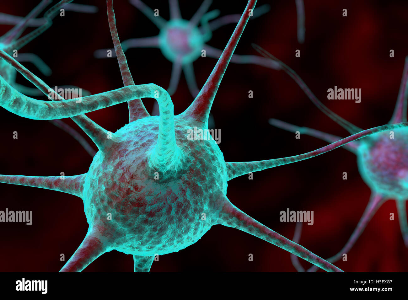 3d nerve cell Stock Photo - Alamy
