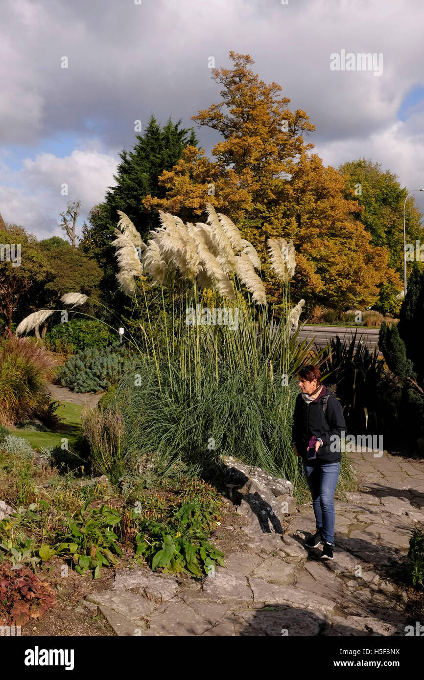 Preston park rock gardens hi-res stock photography and images - Alamy