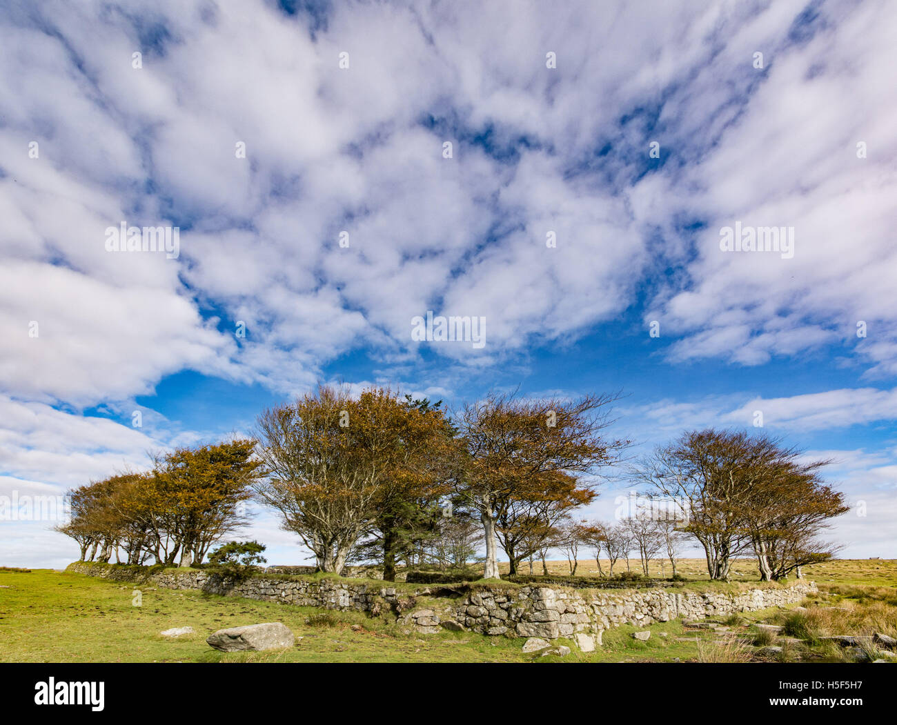 Dartmoor, Devon, UK. 20th October 2016. UK Weather. Beautiful Autumn ...