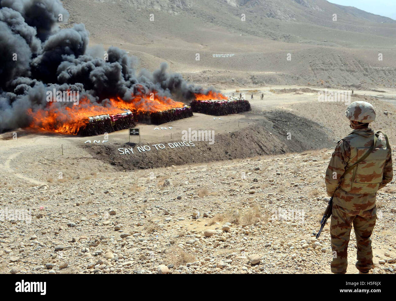 Pakistan. 20th October, 2016. Anti-Narcotics Force (ANF) and Frontier ...