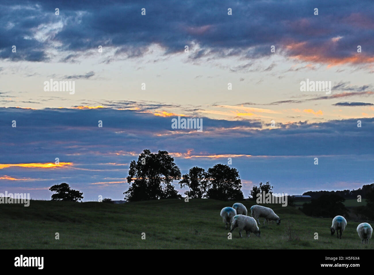 Barrowden, Rutland, UK. 20th October 2016. UK Weather: Cloudy autumn ...