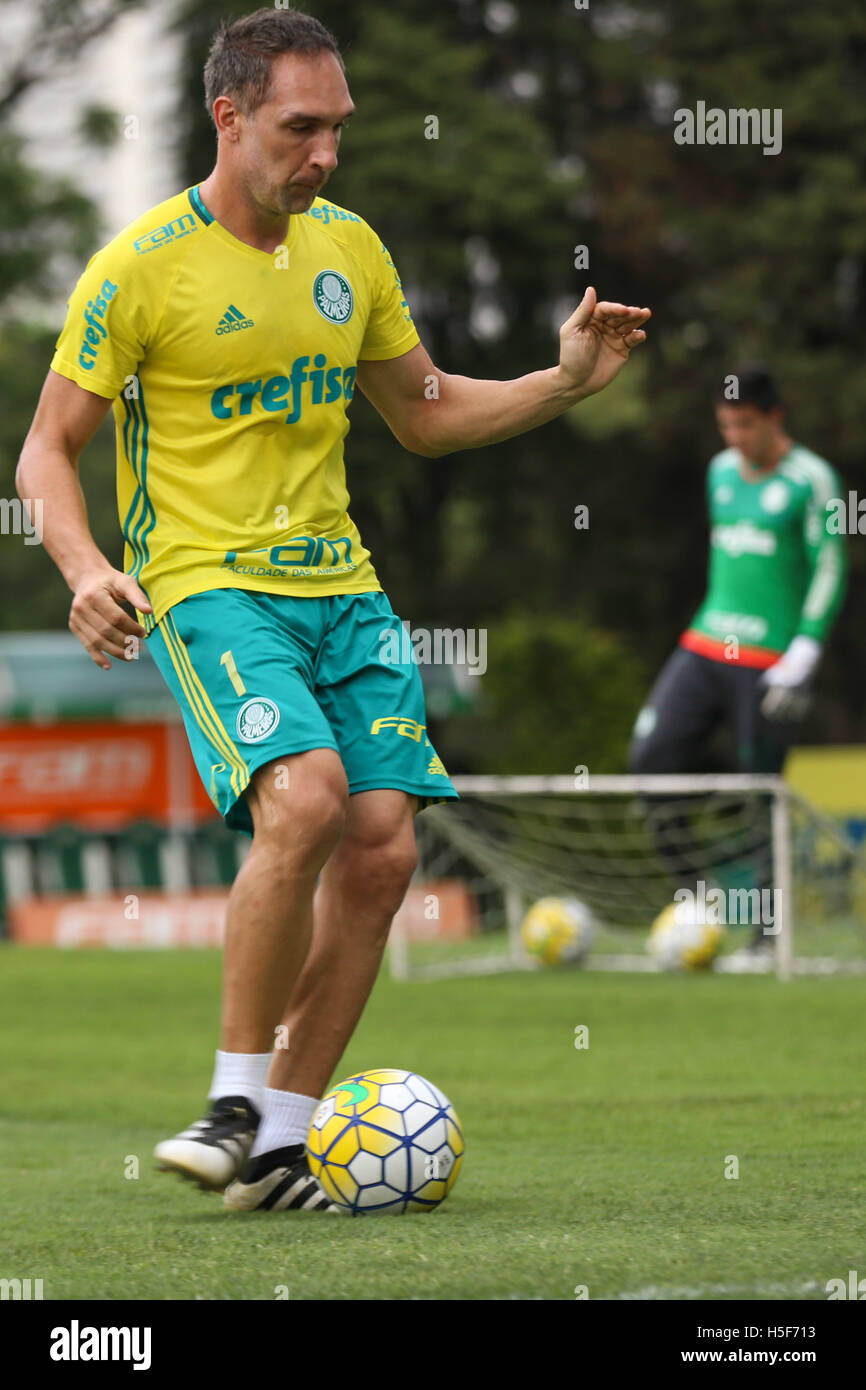 SÃO PAULO, SP - 20.10.2016: TREINO DO PALMEIRAS - Pictured goalkeeper ...