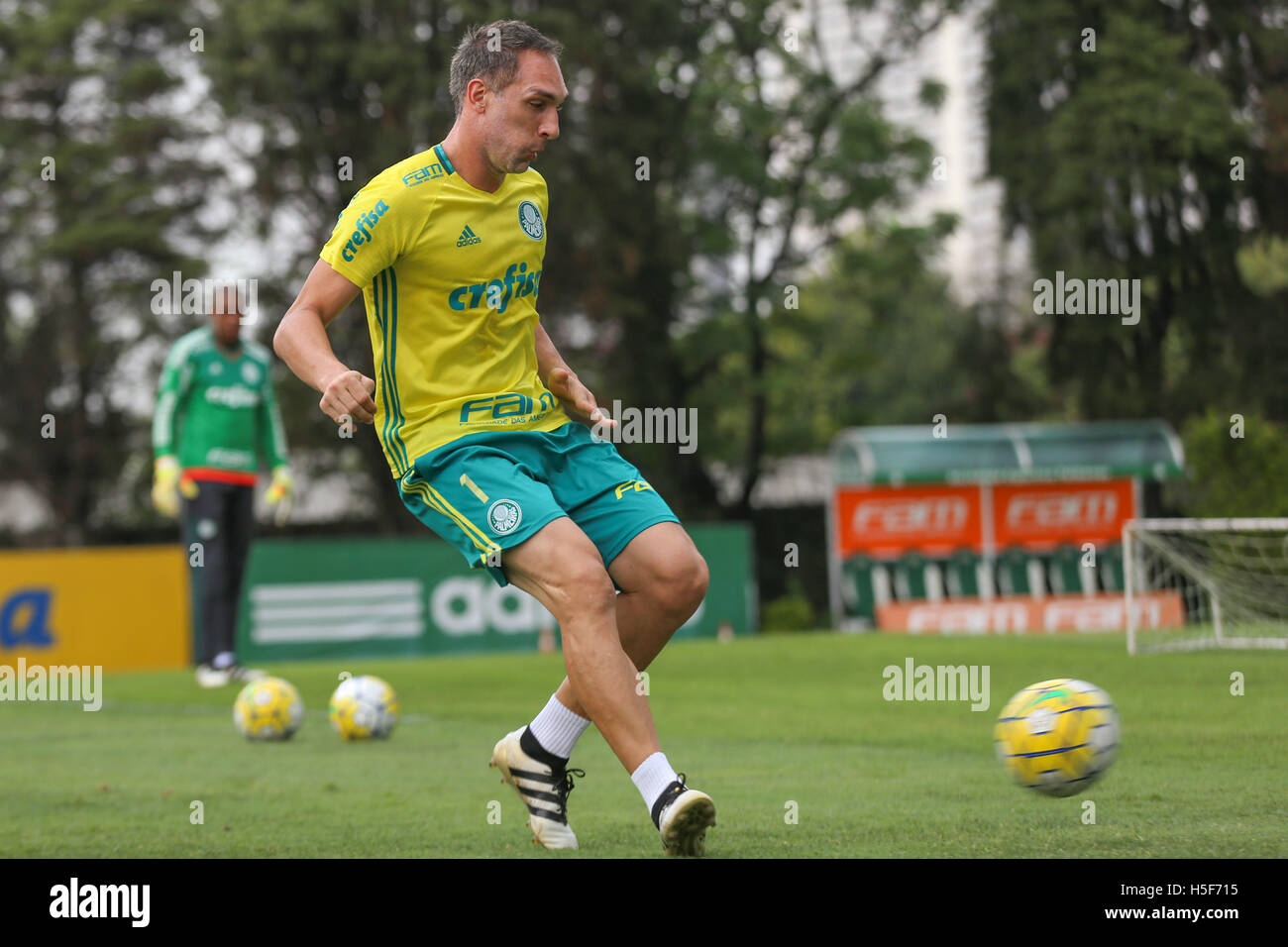 SÃO PAULO, SP - 20.10.2016: TREINO DO PALMEIRAS - Pictured goalkeeper ...