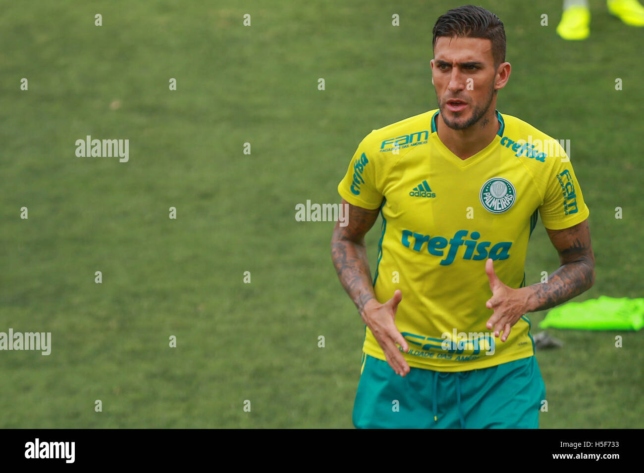 SÃO PAULO, SP - 20.10.2016: TREINO DO PALMEIRAS - Pictured player ...