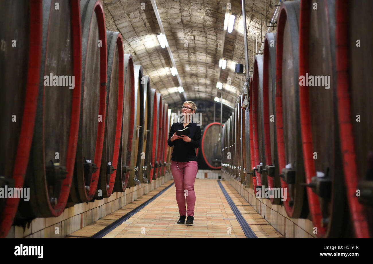 Biggest barrel hi-res stock photography and images - Alamy