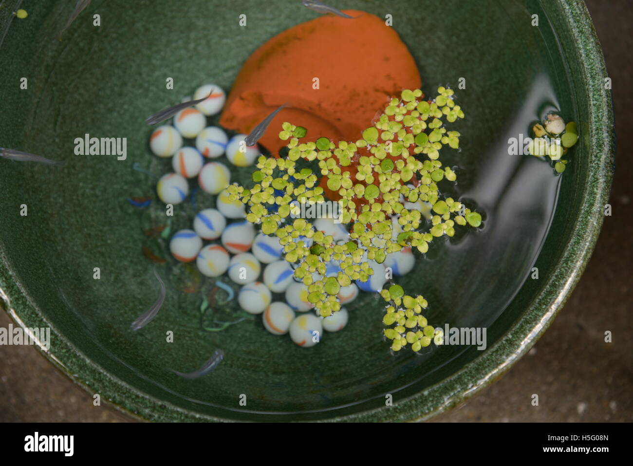 Spot Maze of Town Japan Stock Photo - Alamy