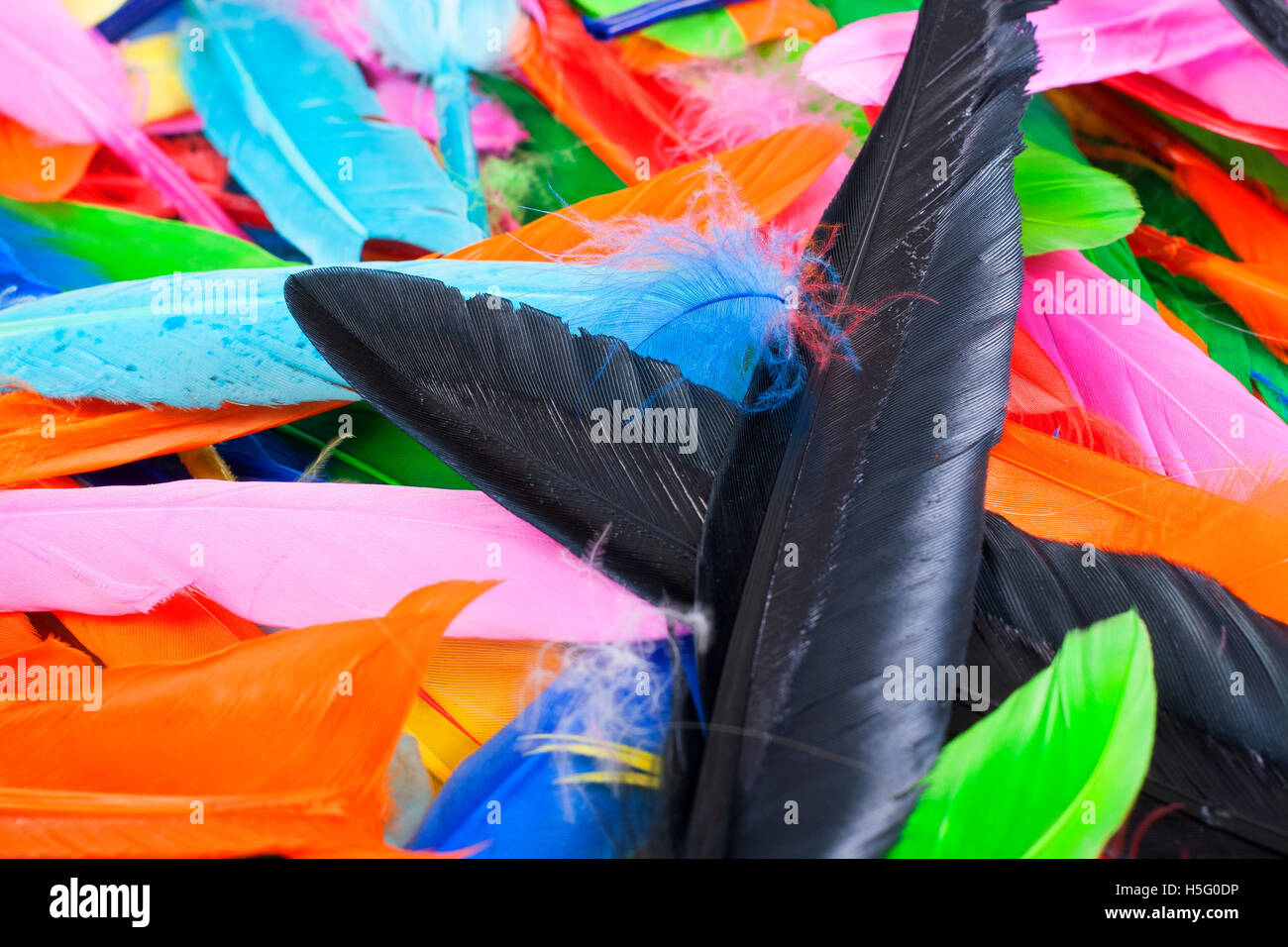 Creative hobby tools real colored bird feathers for dresses decorations ...