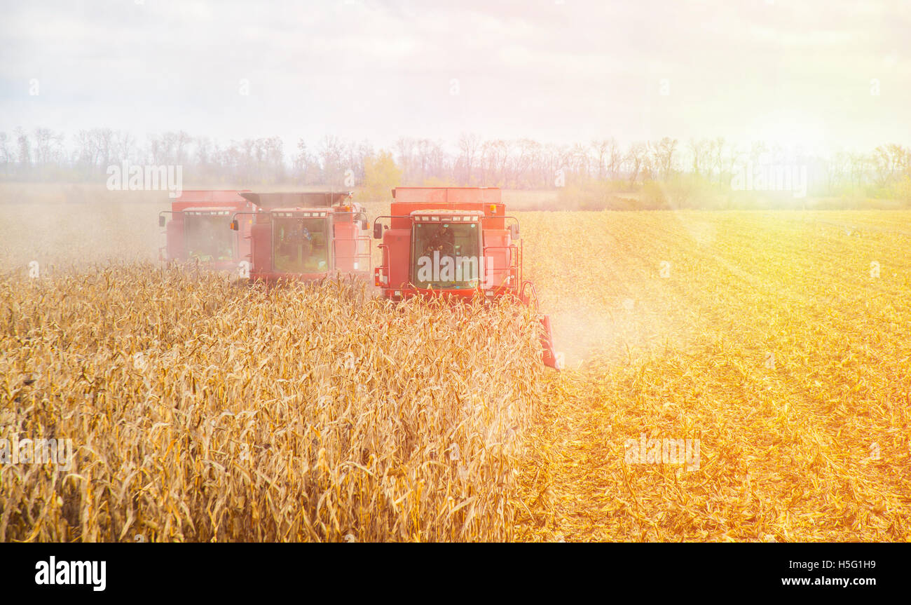 Combines agricultural machine hi-res stock photography and images - Alamy