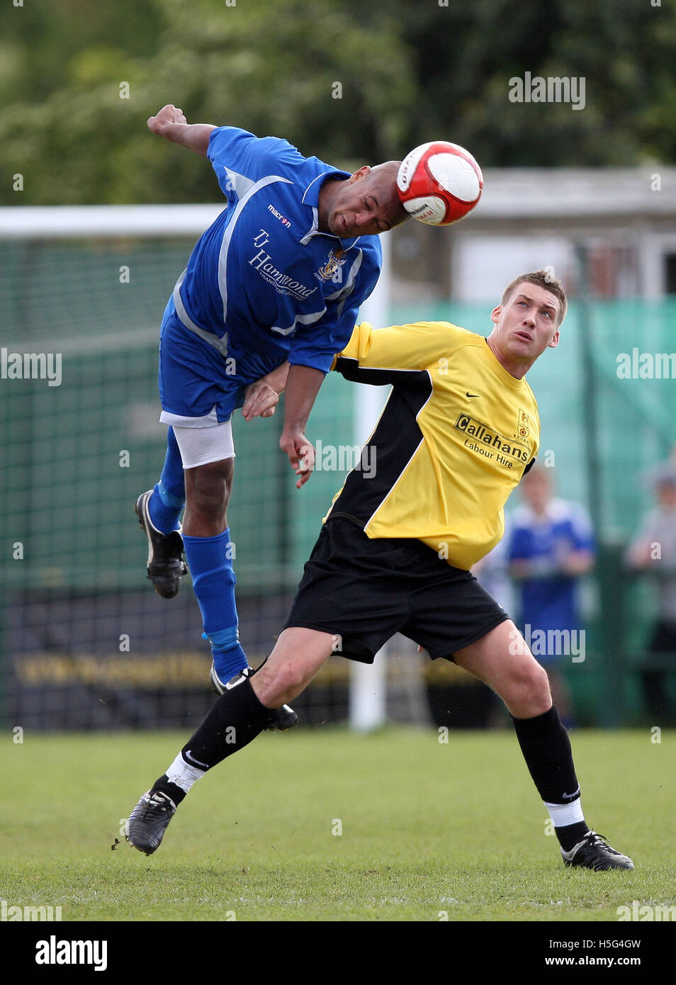 Above rookery hi-res stock photography and images - Alamy