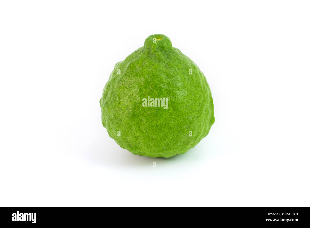 Makrut hi-res stock photography and images - Alamy