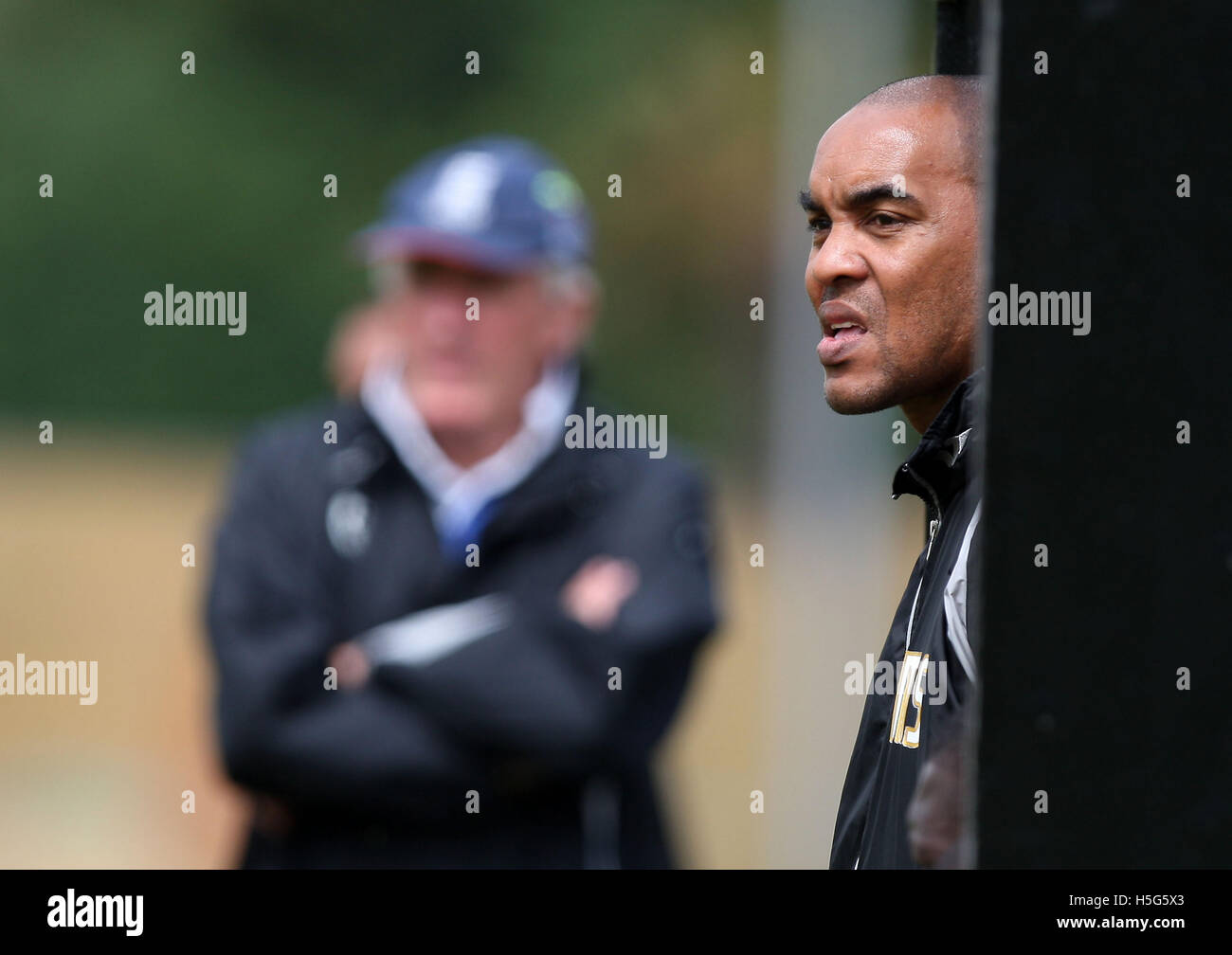 Mark stein hi-res stock photography and images - Alamy