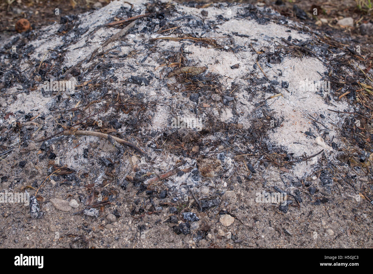 ashes after fire Stock Photo - Alamy