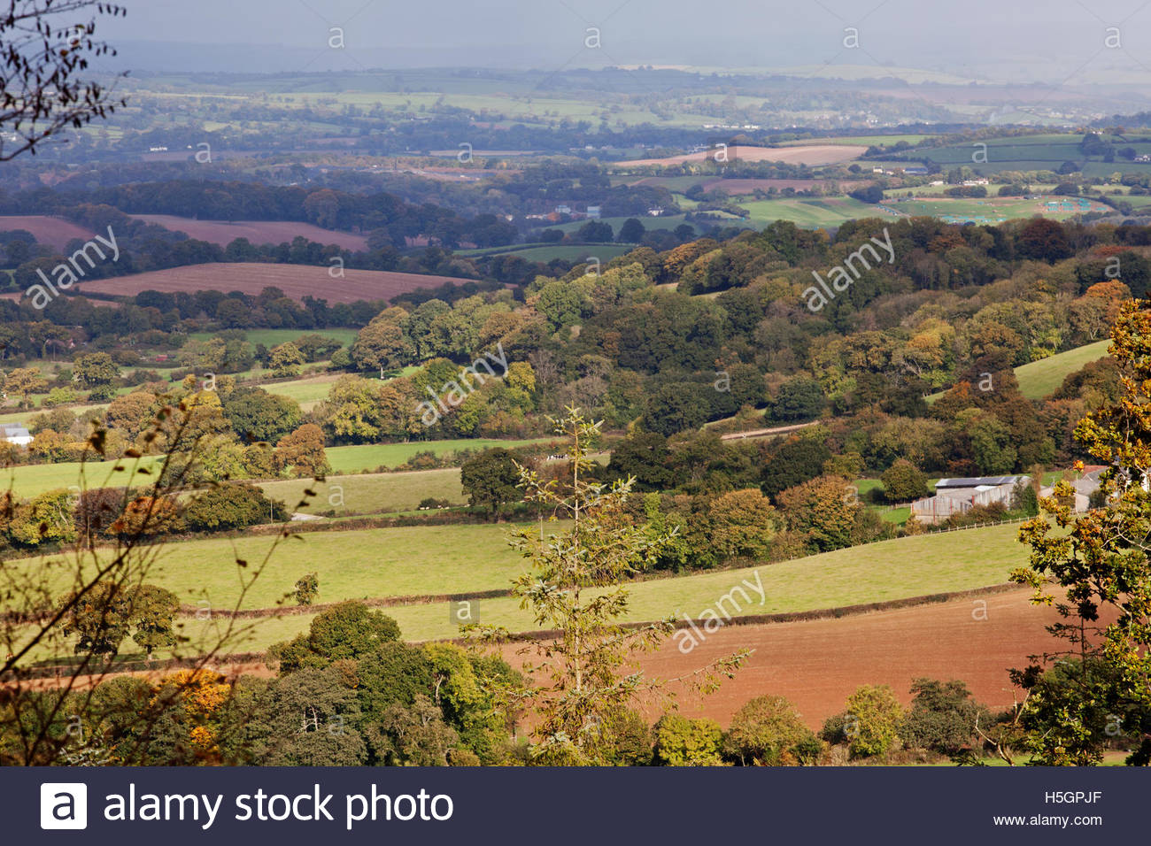 Devon Farm Land High Resolution Stock Photography and Images - Alamy