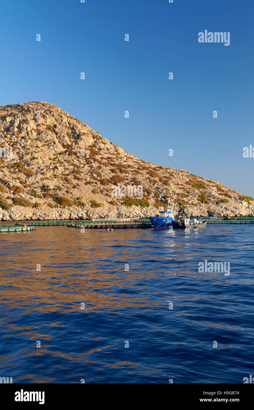Greek fish farm hi-res stock photography and images - Alamy