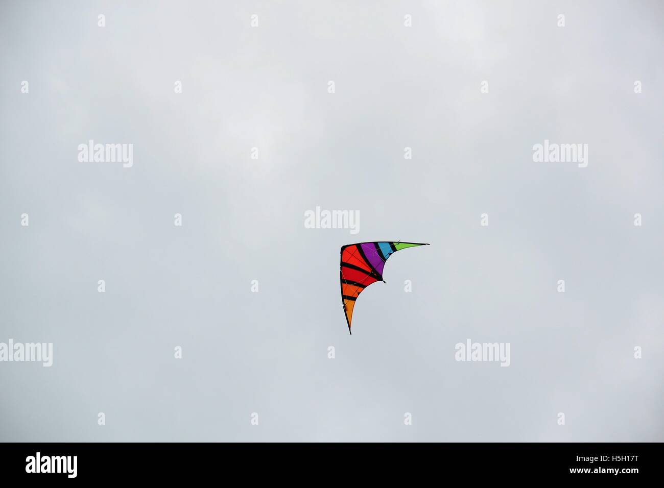 Flying dragon Kite Stock Photo - Alamy