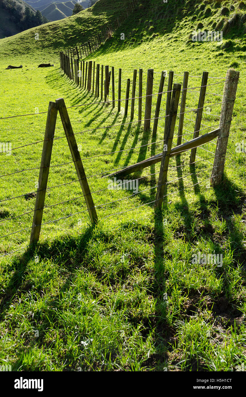 Field boundary fences hi-res stock photography and images - Alamy