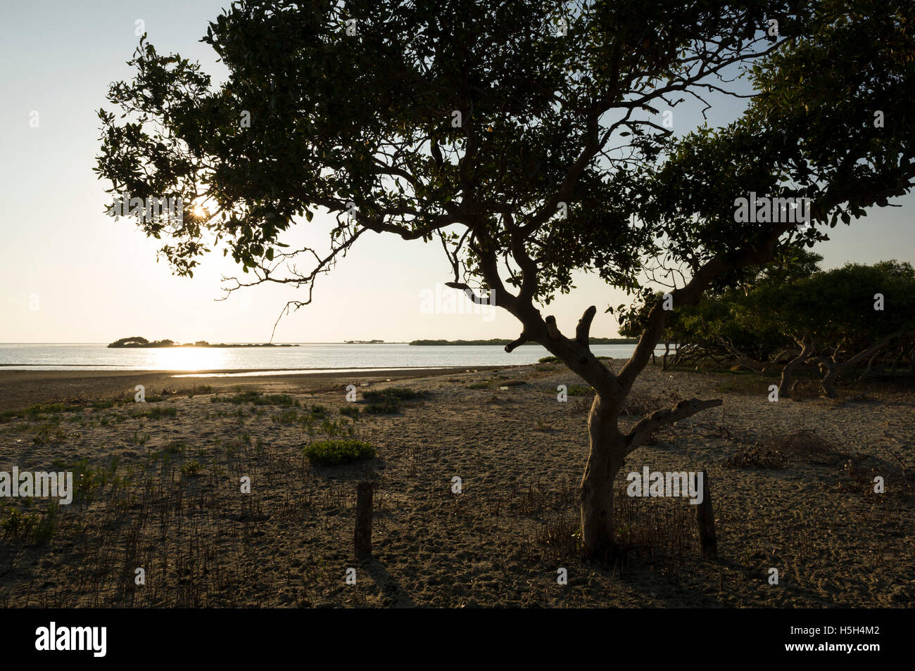 Chain of islets and sandbanks known as Adam's Bridge, connects Sri ...