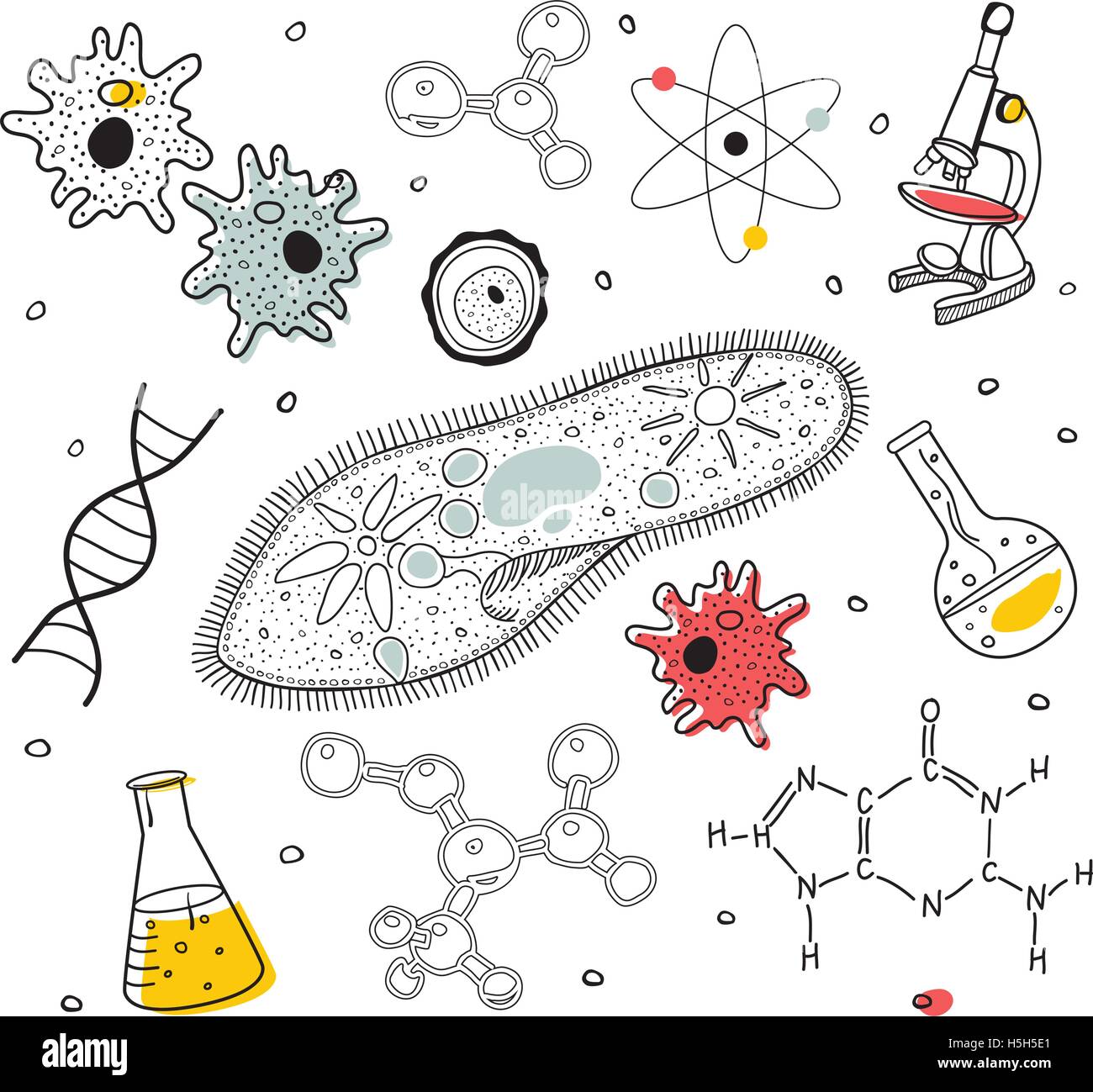 Biology Stock Vector Images - Alamy