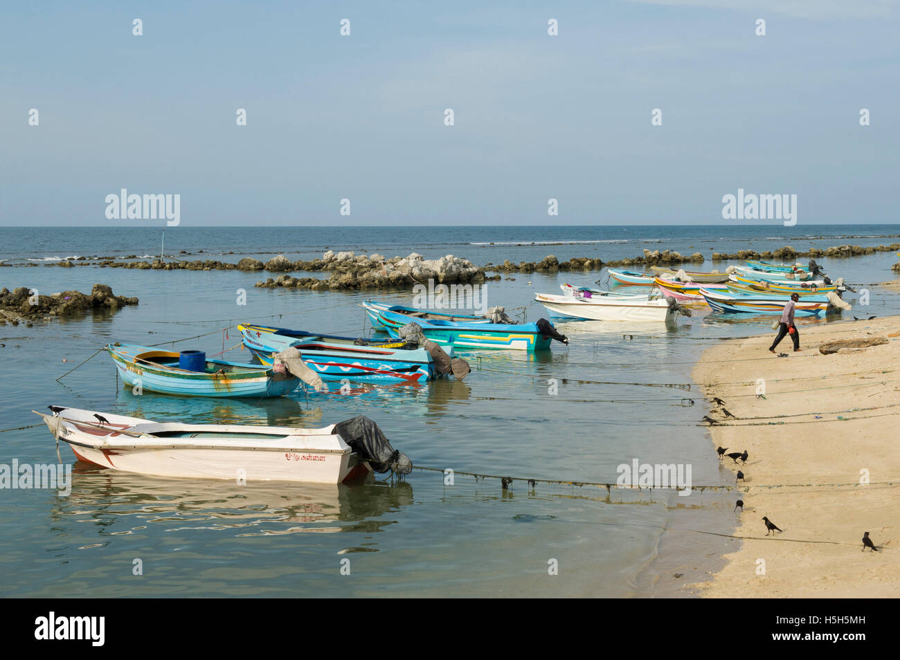 Fishing boats, Point Pedro, Jaffna Peninsula, Sri Lanka Stock Photo - Alamy