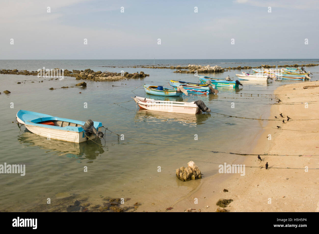 Fishing boats, Point Pedro, Jaffna Peninsula, Sri Lanka Stock Photo - Alamy