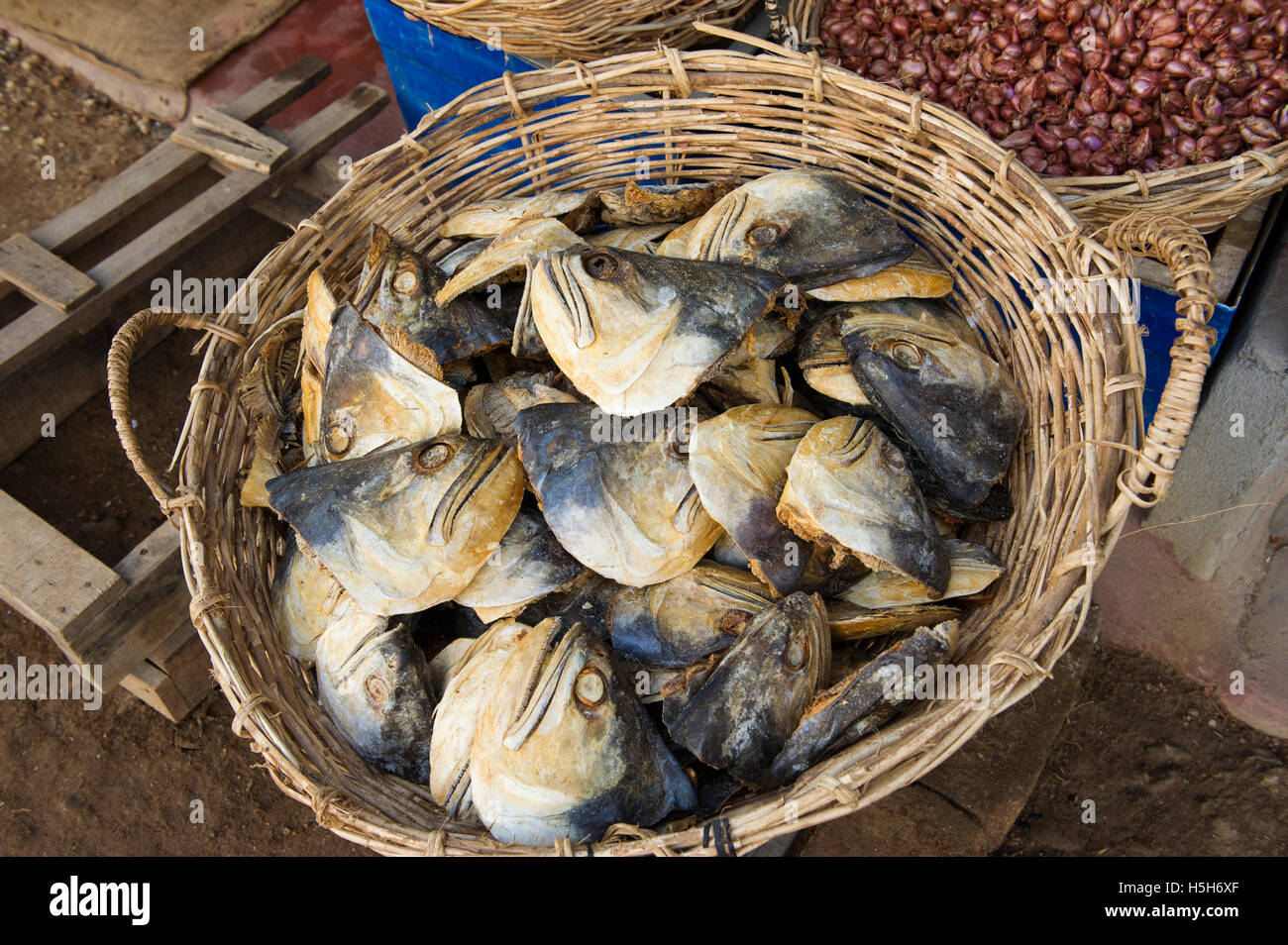 Dried fish shop in the market, Jaffna, Sri Lanka Stock Photo - Alamy