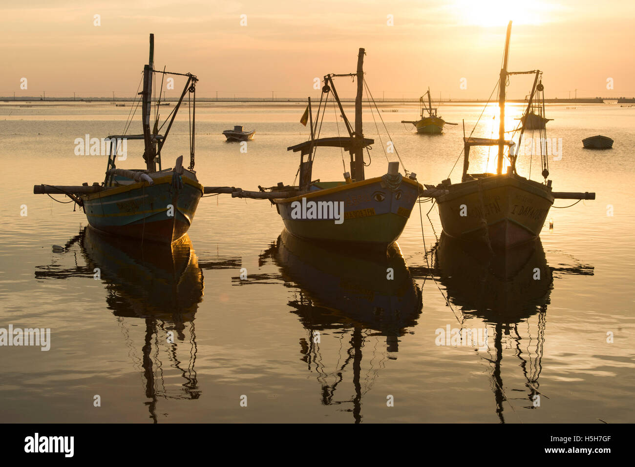 Fishing boats docked at the harbour at sunset, Jaffna, Sri Lanka Stock Photo - Alamy