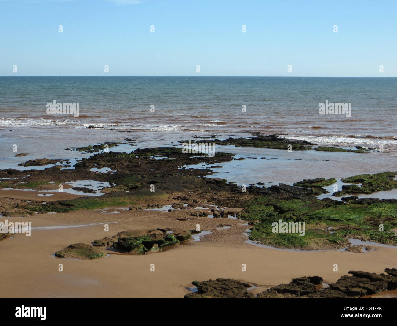 Rock pools on Jacob's Ladder beach, Sidmouth at low tide on a sunny ...