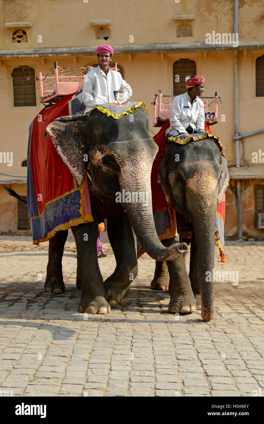 Mughal empire elephant hi-res stock photography and images - Alamy