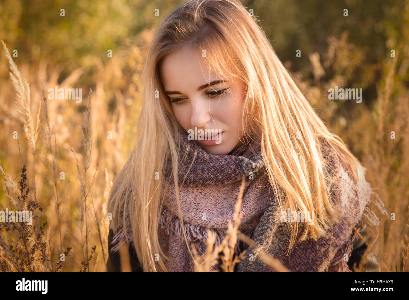 sad beautiful woman in dry grass at sunset, toned image Stock Photo - Alamy