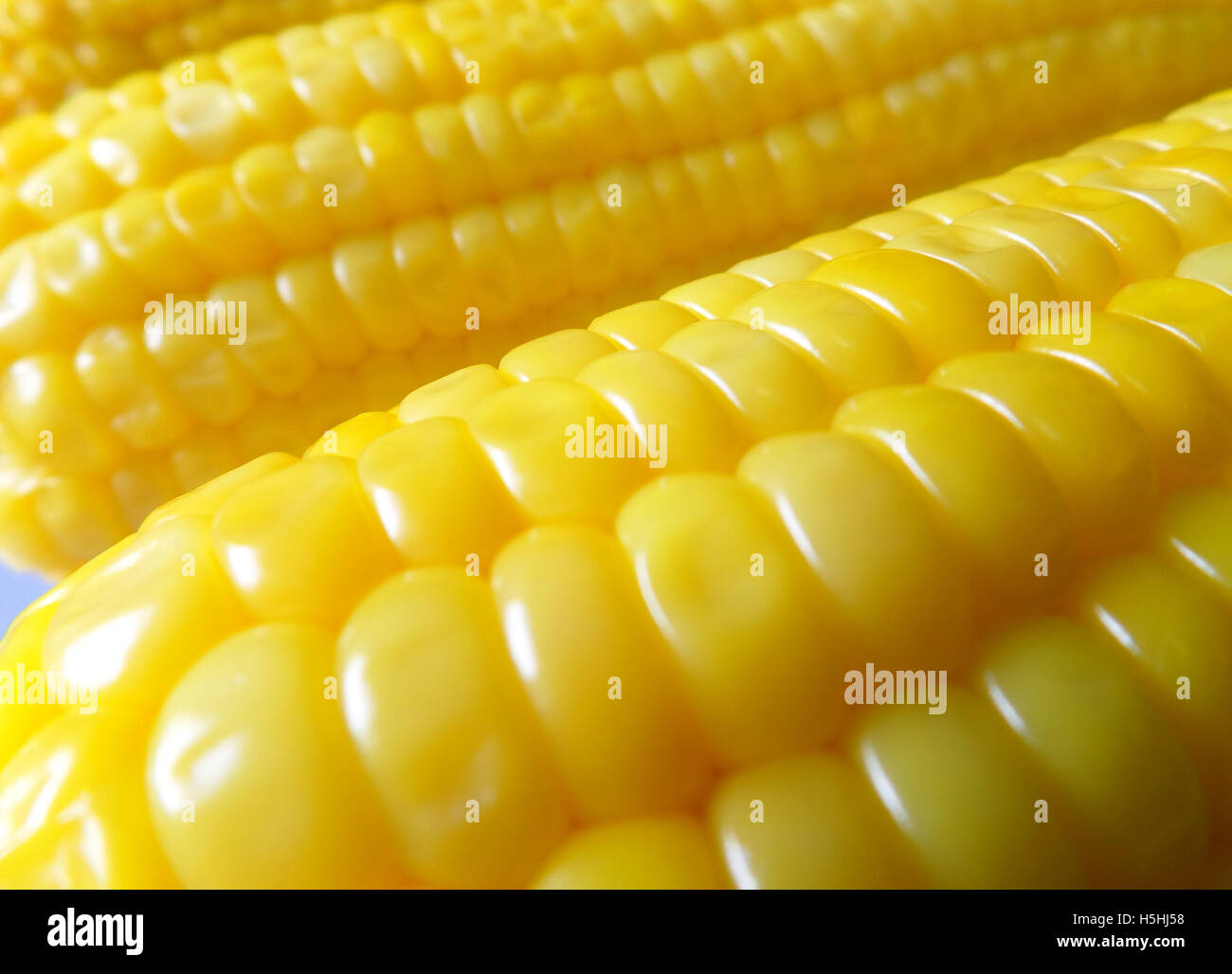 Boiled Yellow Sweet Corn Closed up for Background, Texture Stock Photo ...