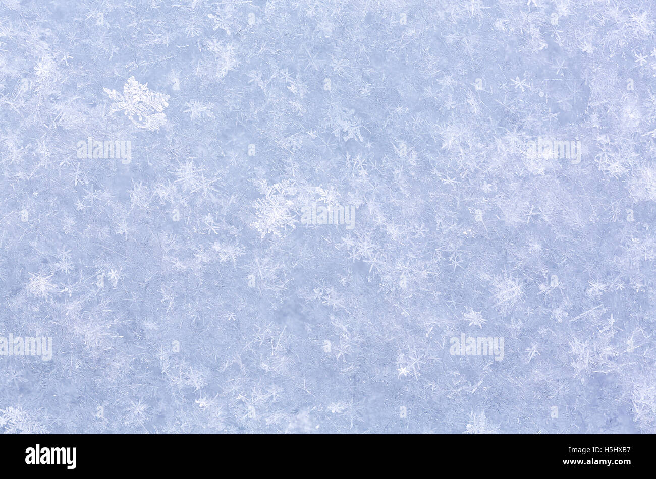 Texture snow texture hi-res stock photography and images - Alamy