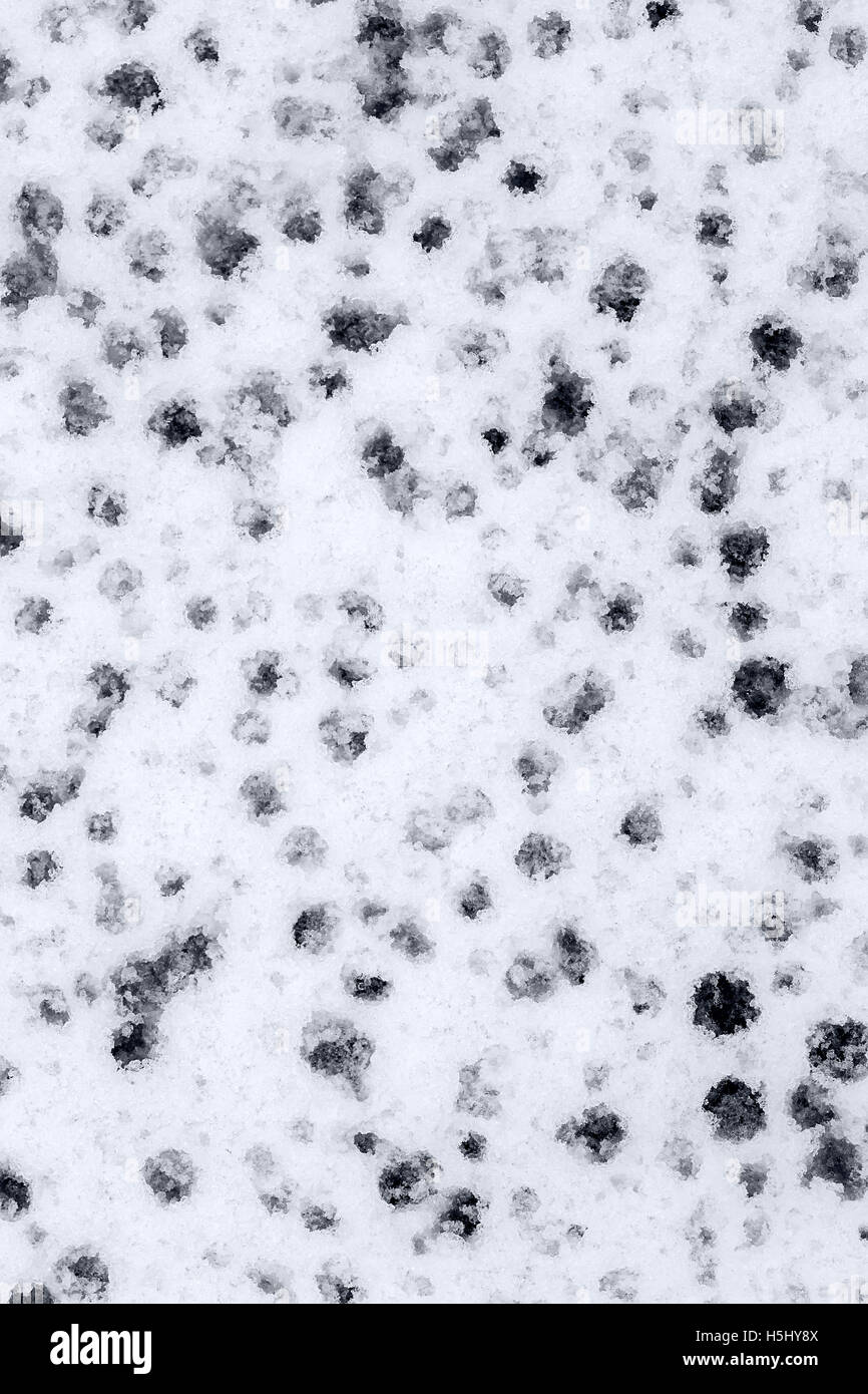 Beautiful winter texture hi-res stock photography and images - Alamy