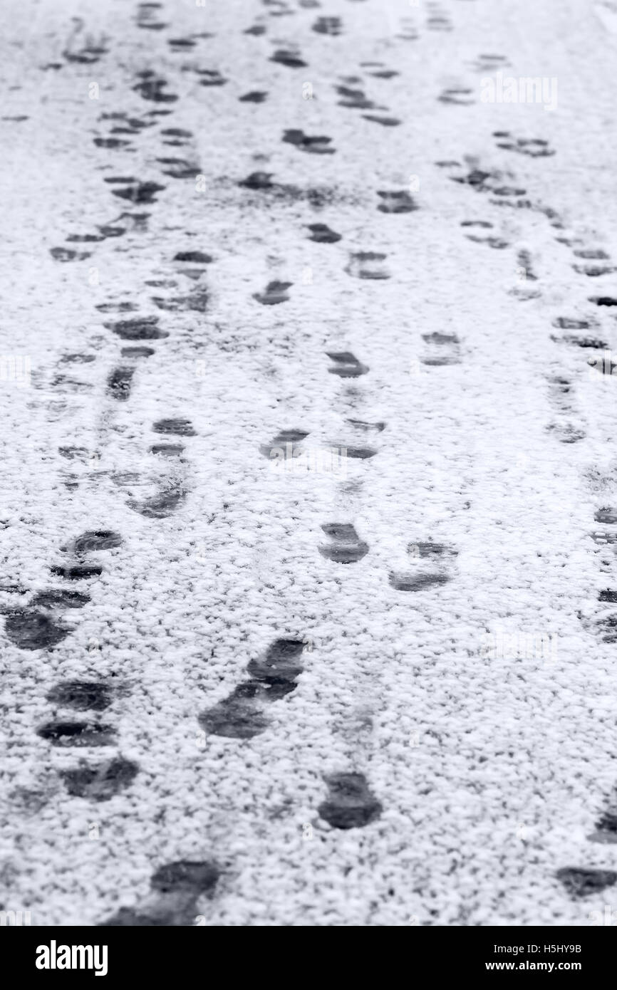 Foot prints on freshly fallen snow in wintertime Stock Photo - Alamy