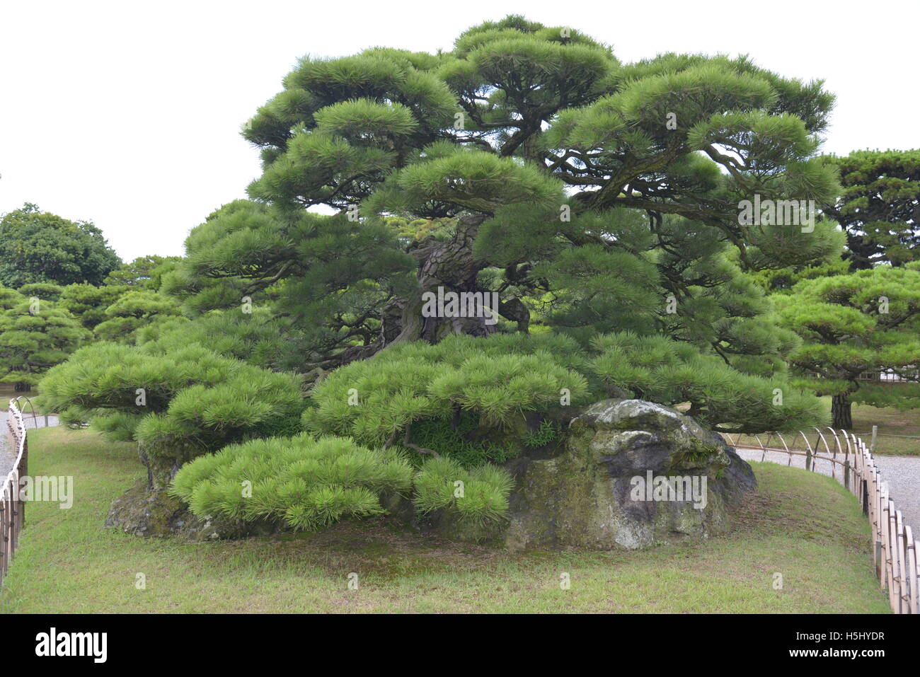 Kuribayashi park takamatsu japan hi-res stock photography and images ...