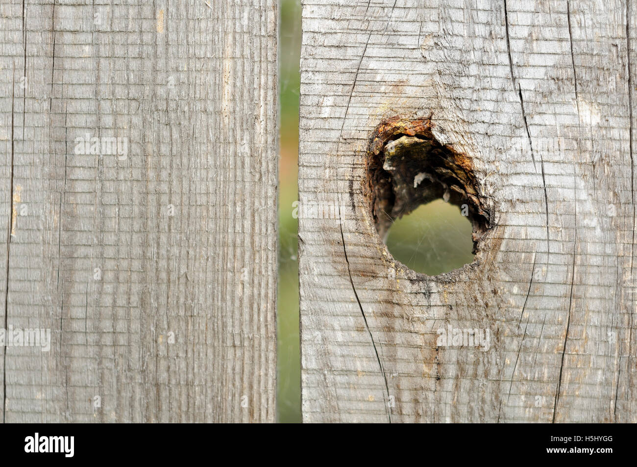 wooden texture of old dry vertical boards for an abstraktony background ...