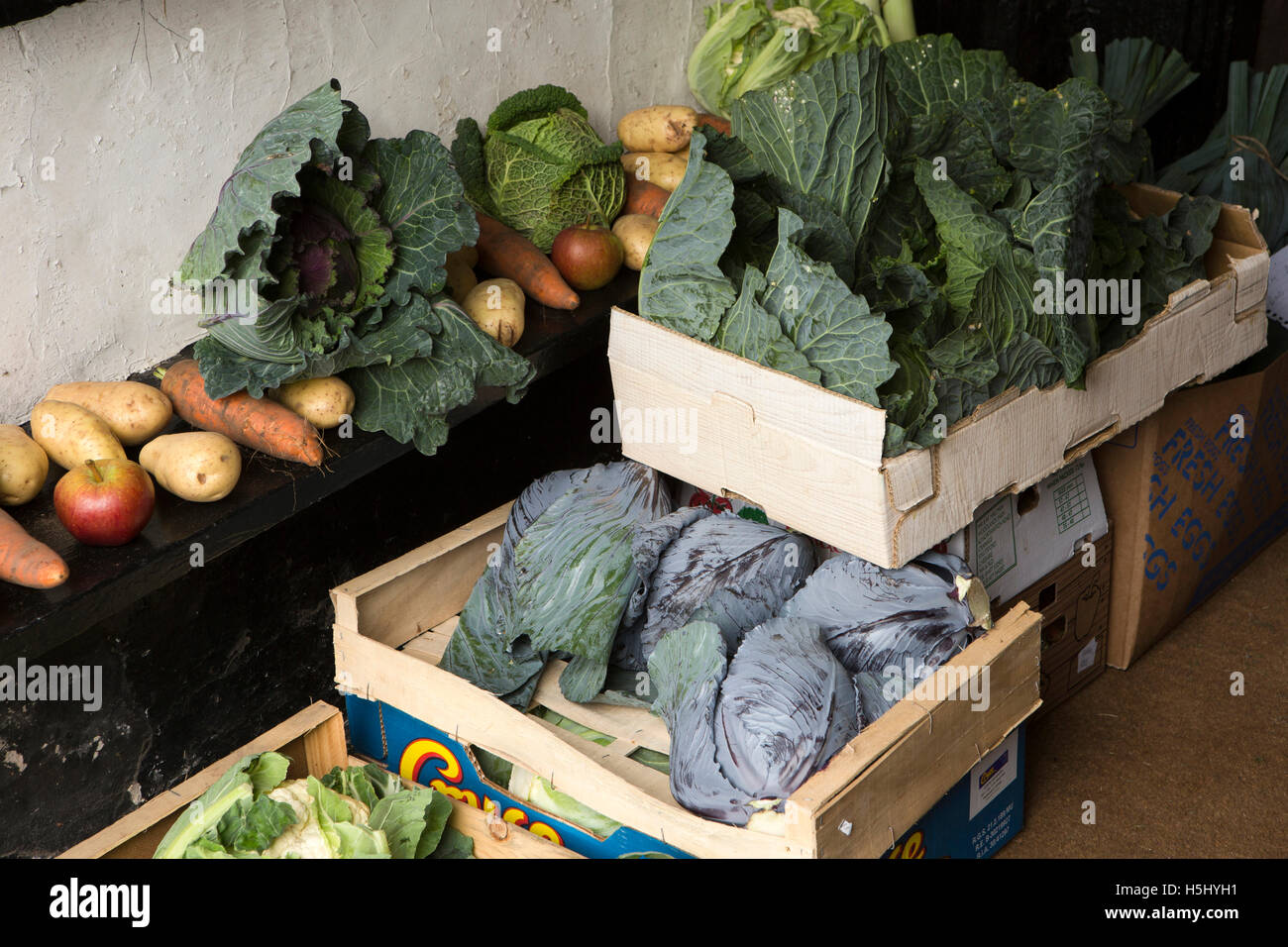 Harvest festival uk vegetables hi-res stock photography and images - Alamy