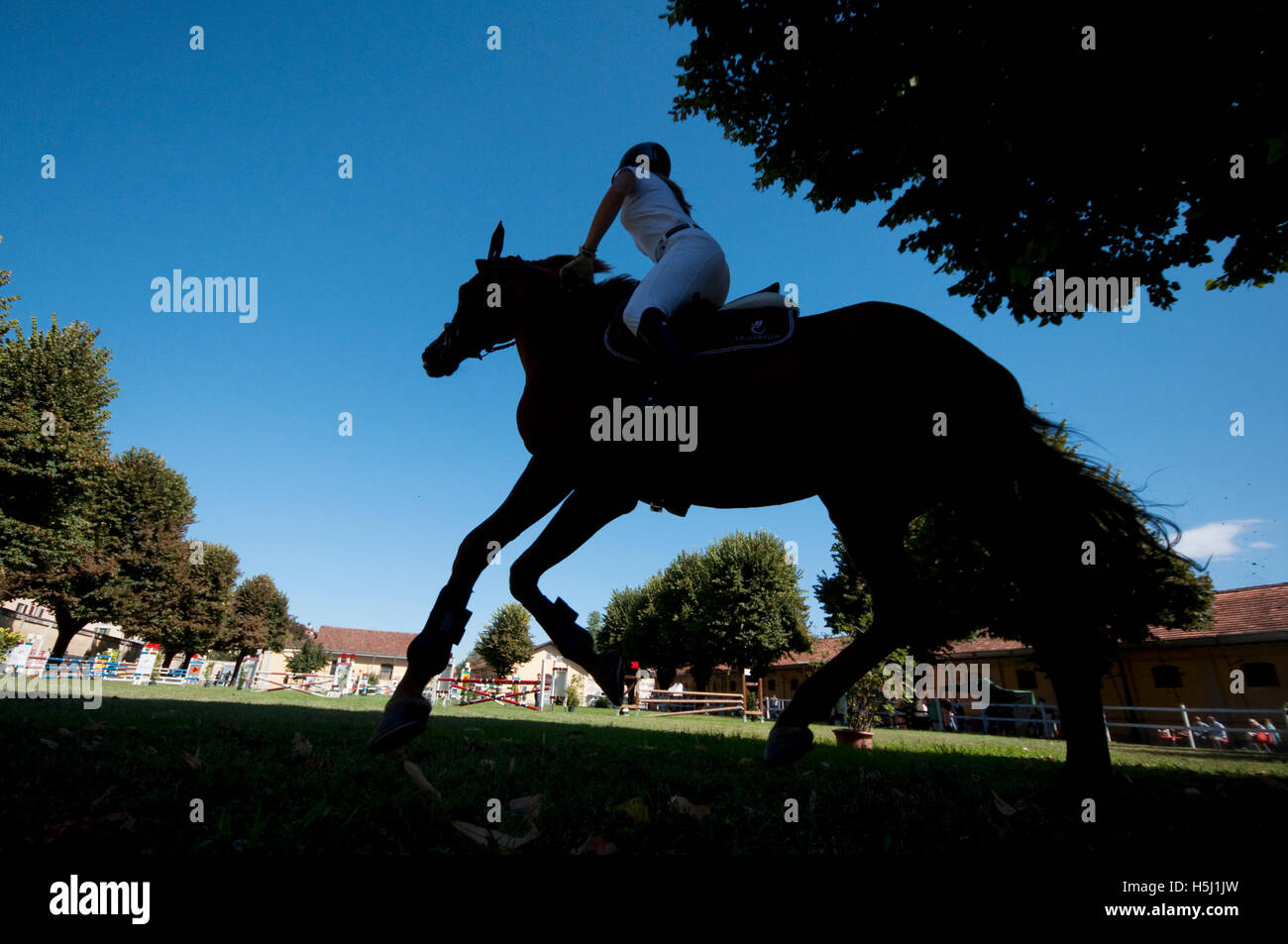 Eventing Horse Silhouette