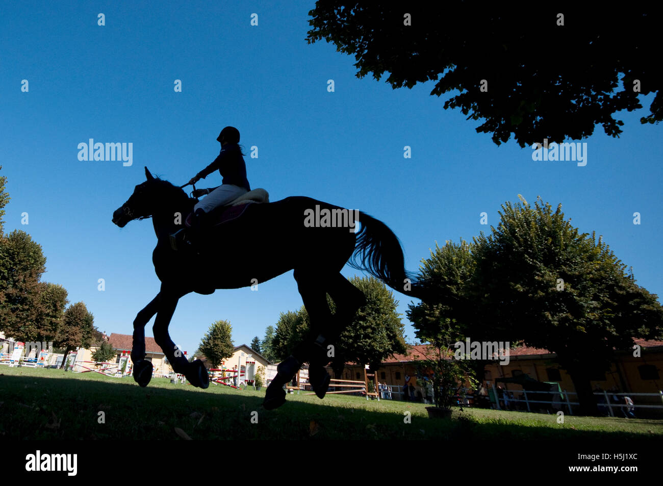 Eventing Horse Silhouette