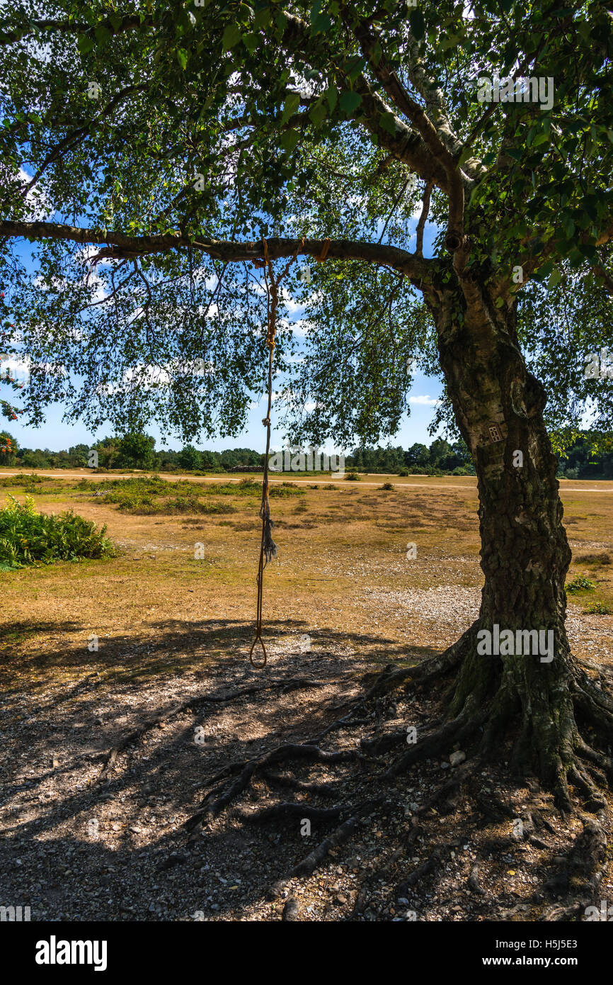 Rope and Swing Stock Photo - Alamy