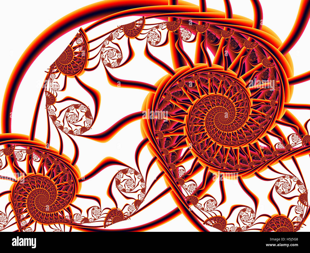 Fractal patterns hi-res stock photography and images - Alamy