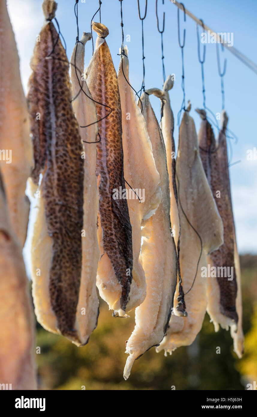 Salt cod drying newfoundland hi-res stock photography and images - Alamy