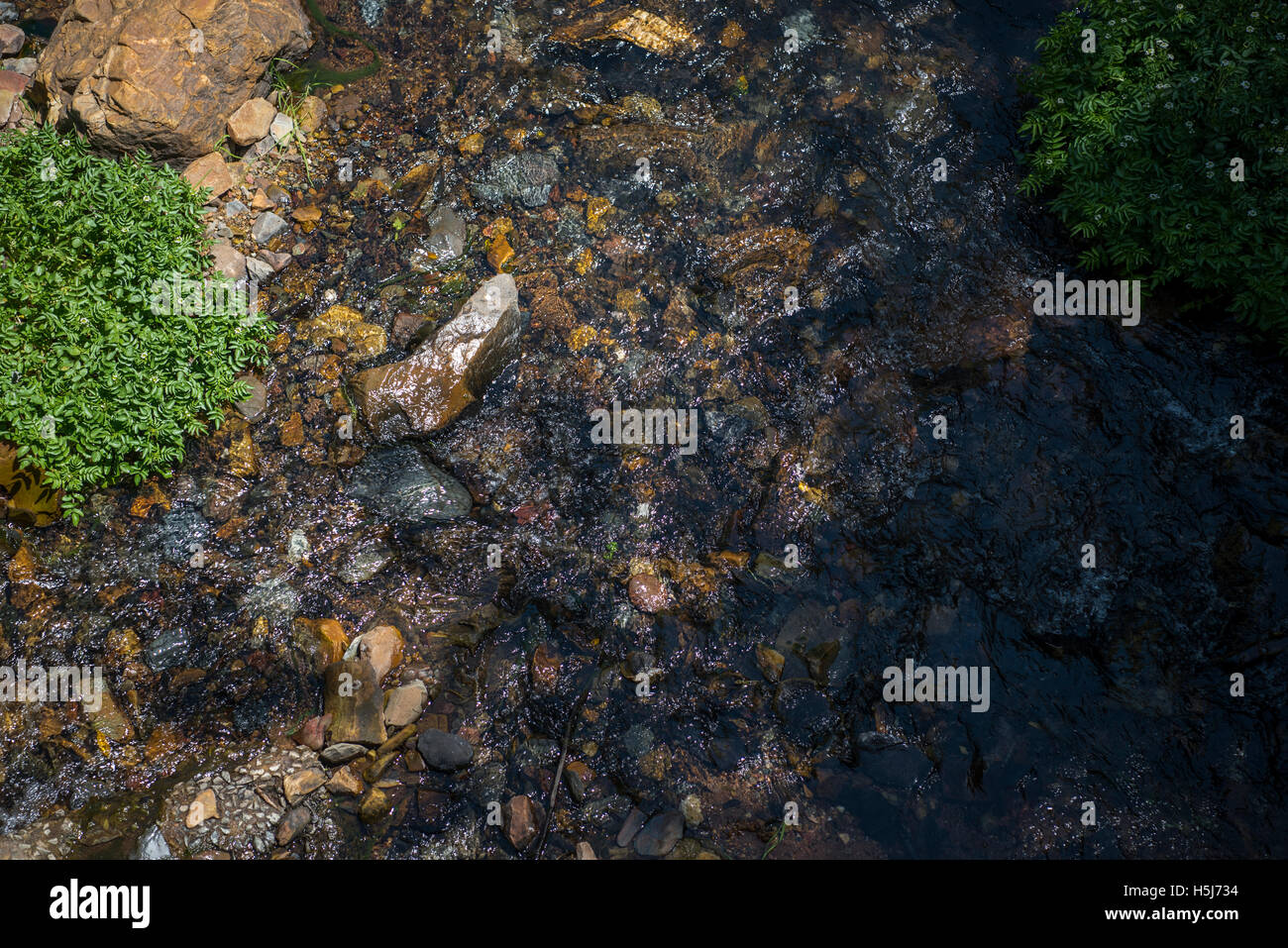Overhead view of a flowing stream in the Walter Sisulu National ...