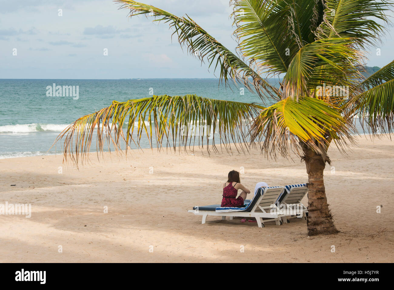 Sitting under palm tree hi-res stock photography and images - Alamy