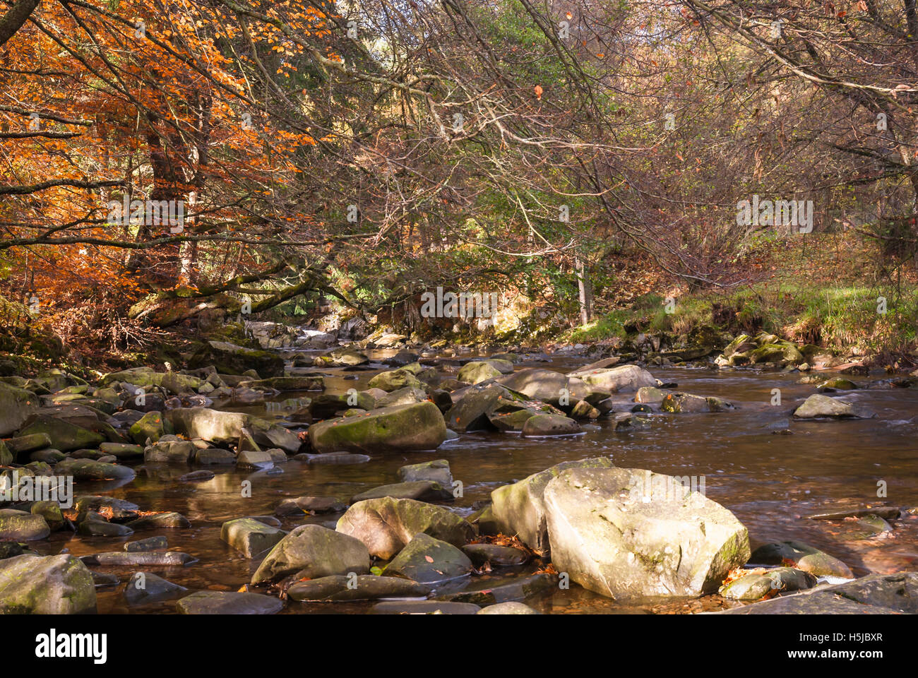 A landscape image of Bruar Water. A river in the Scottish highlands ...