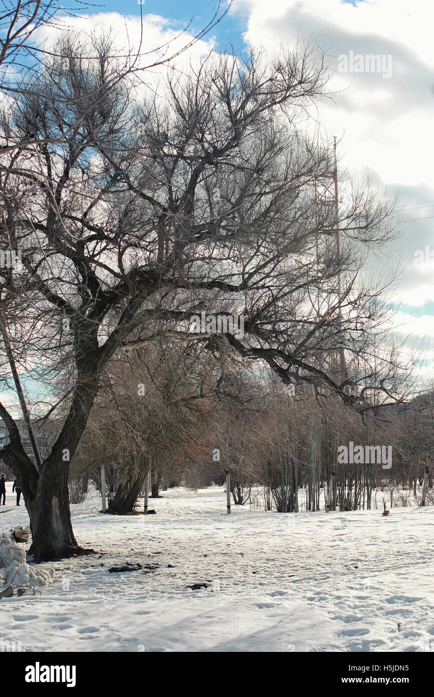 thaw snow lanscape tree Stock Photo - Alamy